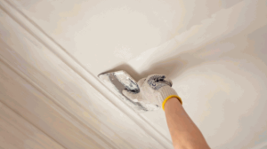 What Is A Plaster Ceiling - Traditional Architecture